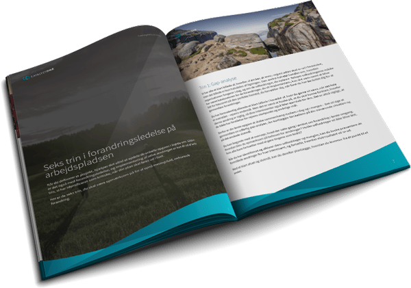 E-bog - Forandringsledelse, der varer ved