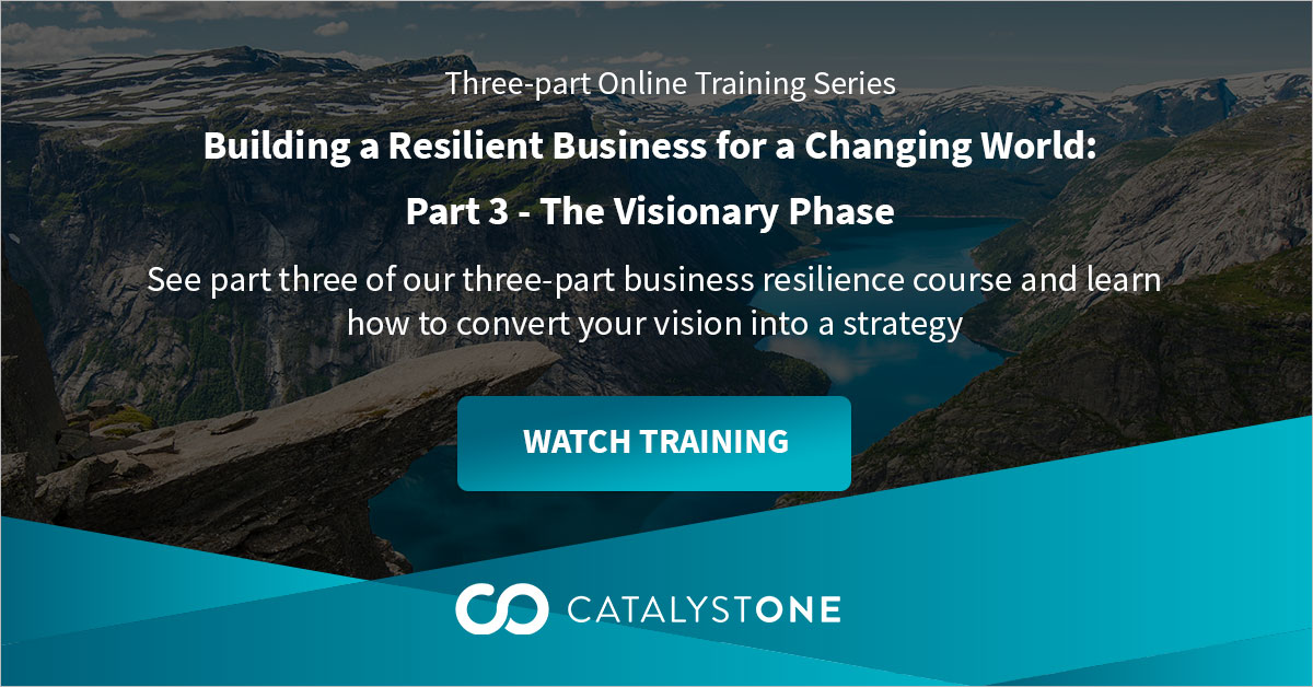 Training series - Part 3 - The visionary phase